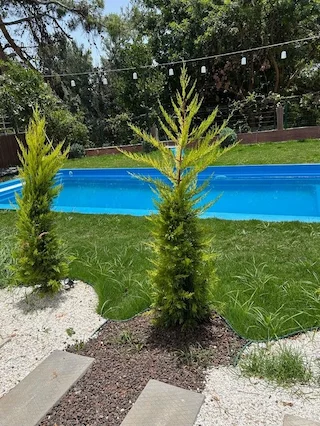Dorel Doğa Hotel, Mezitli