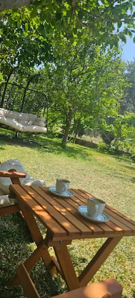 Sempati Ağaç Evleri, Datça