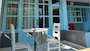 Datça House Butik Otel, Datça